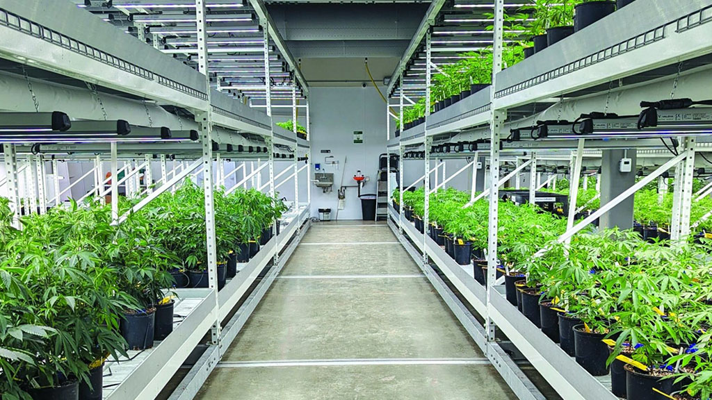 Vertical Grow Racks for Commercial Cannabis - CM Fabrication