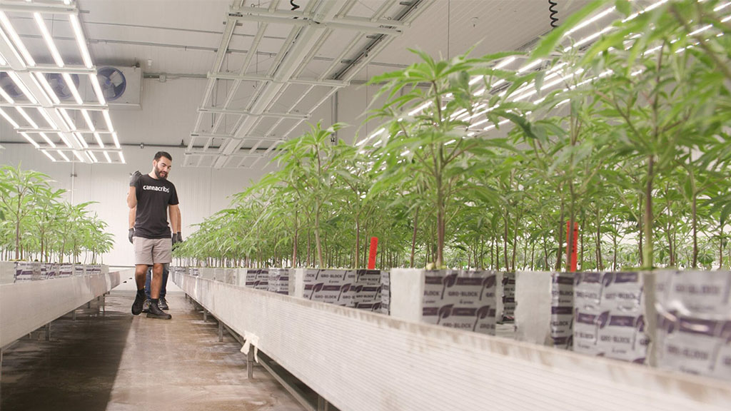 Rolling Benches - CM Fabrication